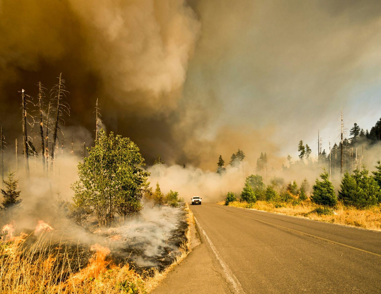 Unexpected risks of urban wildfires: How smoke and soot threaten cities